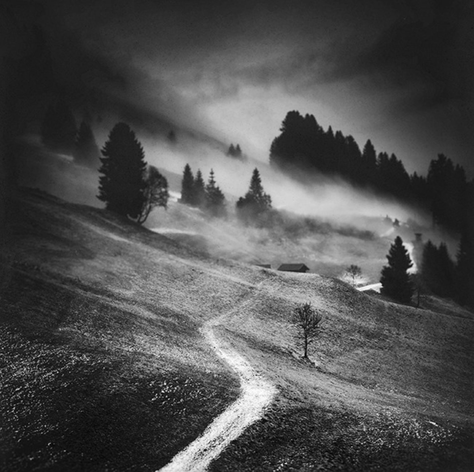 Ando Fuchs